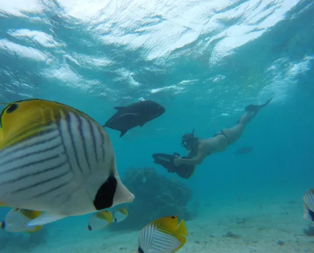 Explore Rarotonga's Lagoon with KiteSUP Intro Snorkel Tour - Cook Islands