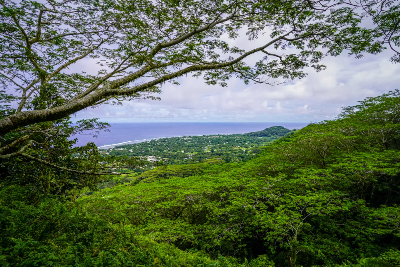 Raemaru Mountain Trek: Adventure Cook Islands Tour in Rarotonga - Cook ...