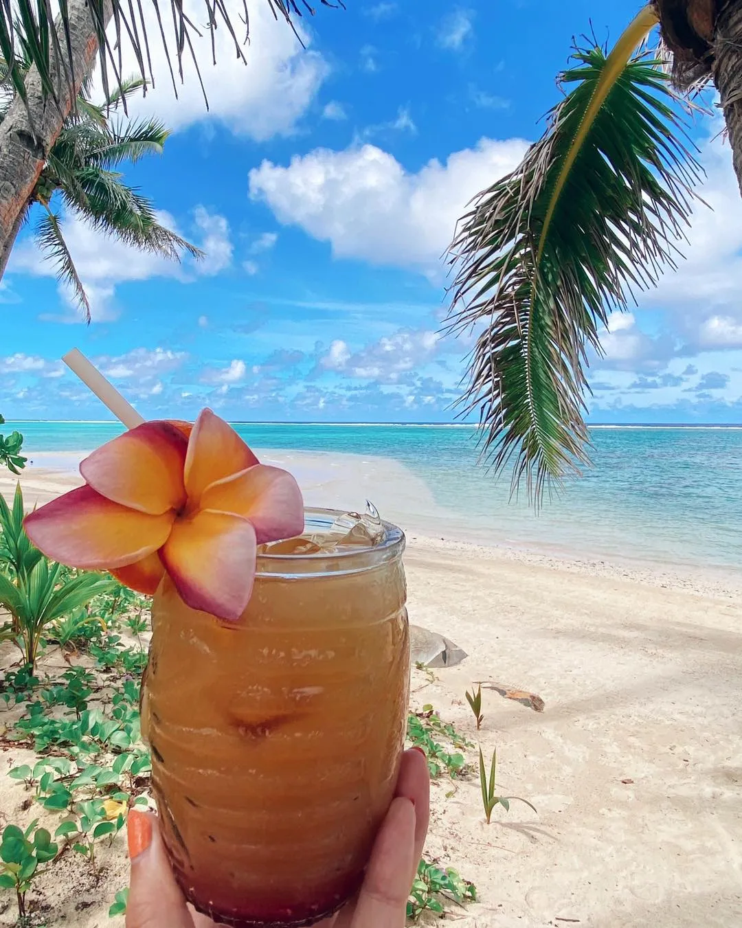 Little Polynesian Restaurant & Bar: Seafood, Fusion, and Vegan Options ...