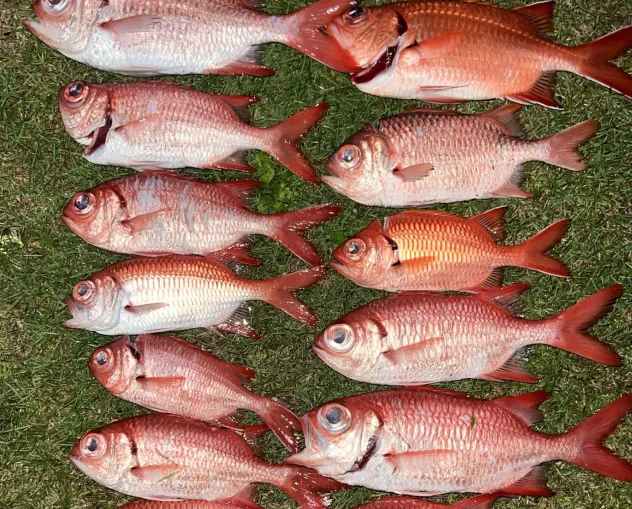 Robbie’s GT Fishing Charters: Ultimate Land-Based Fishing Experience in ...