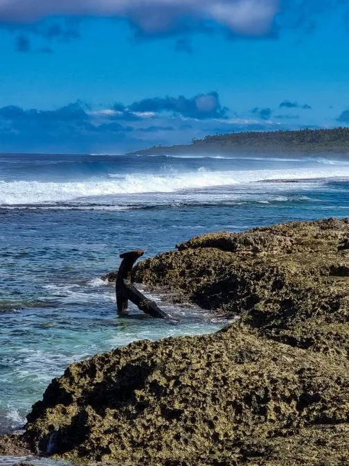 Mangaia: Discover the Unspoiled Beauty of the Cook Islands