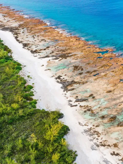 Mitiaro: Discover the Hidden Gem of the Cook Islands