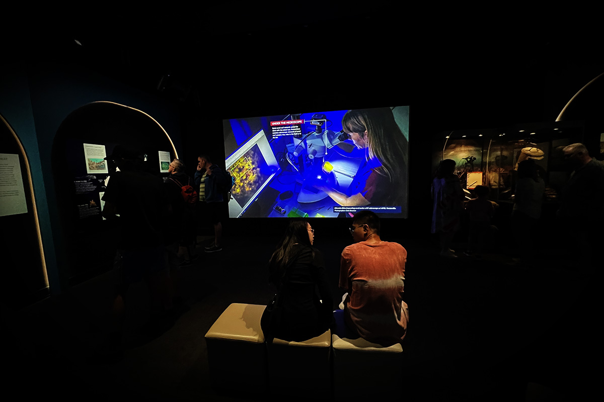 Making Waves Exhibition // Queensland Museum