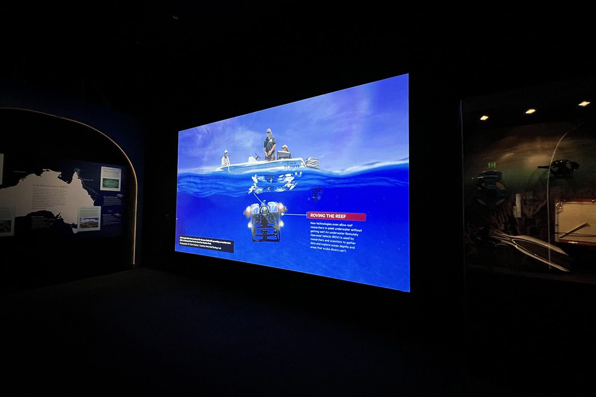 Making Waves Exhibition // Queensland Museum