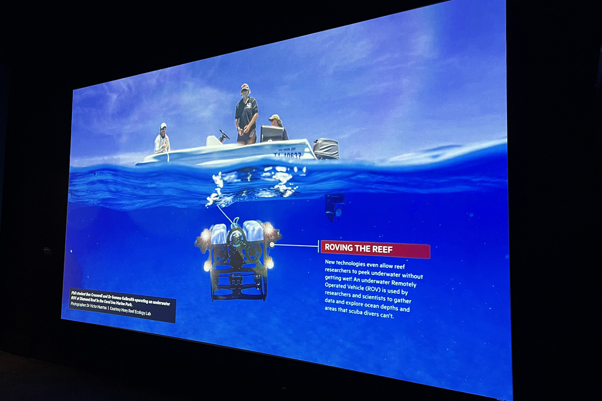 Making Waves Exhibition // Queensland Museum