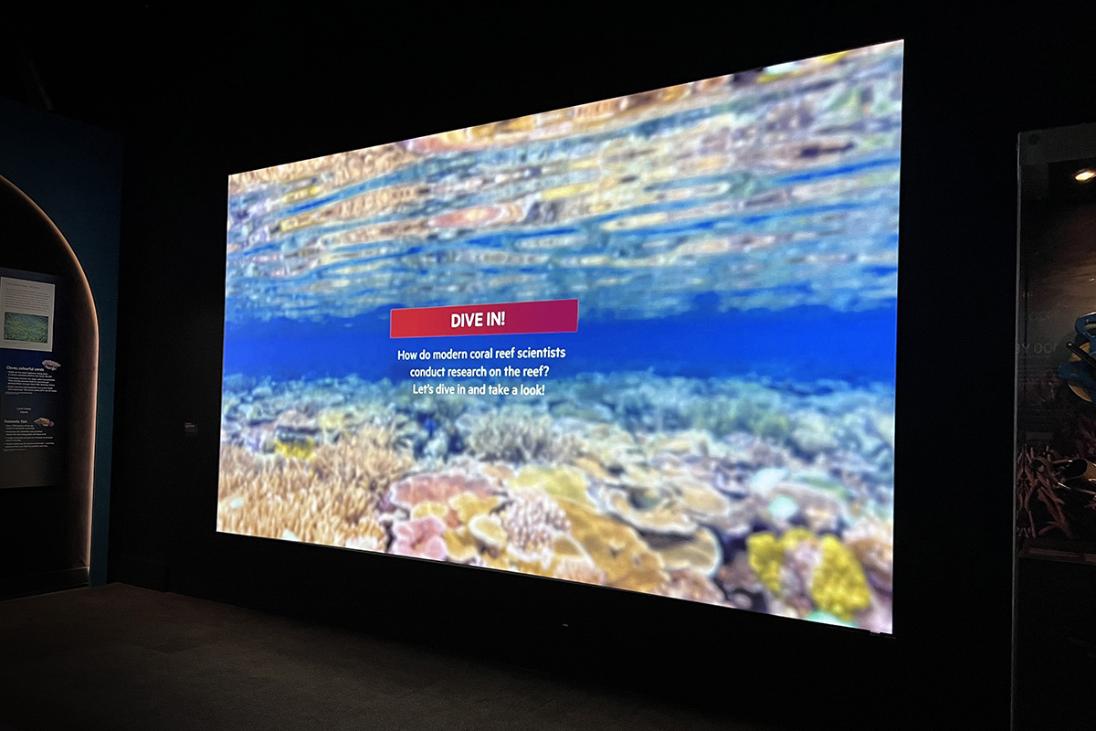 Making Waves Exhibition // Queensland Museum