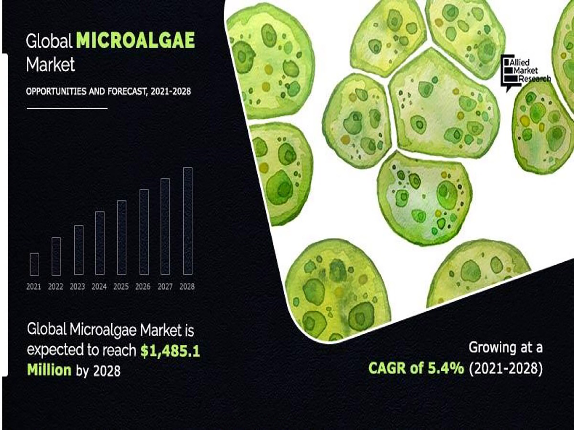 Microalgae market thrives with a projected US$1.5 billion valuation by ...