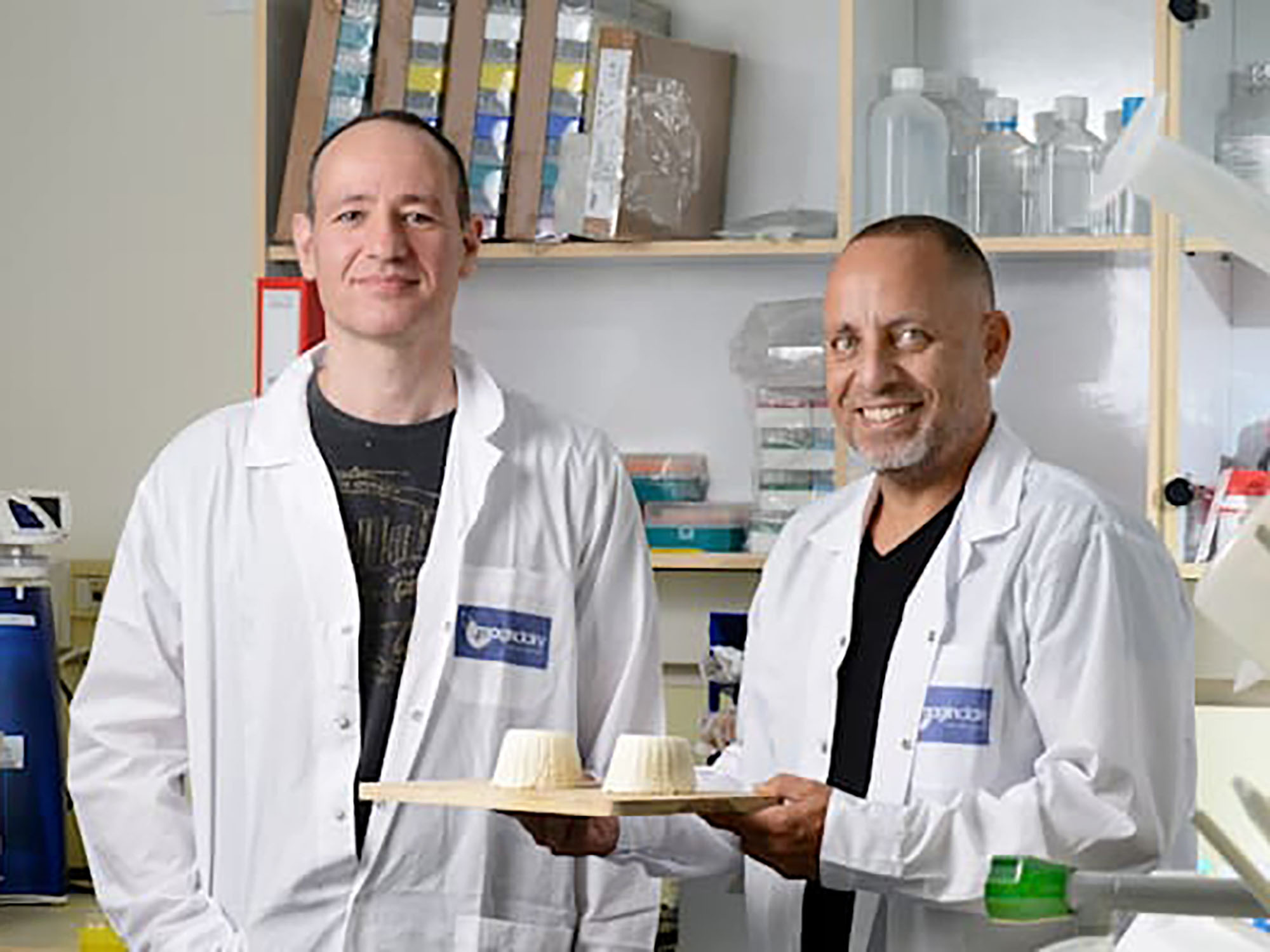 US Food and Drug Administration approves ImaginDairy non-animal milk ...