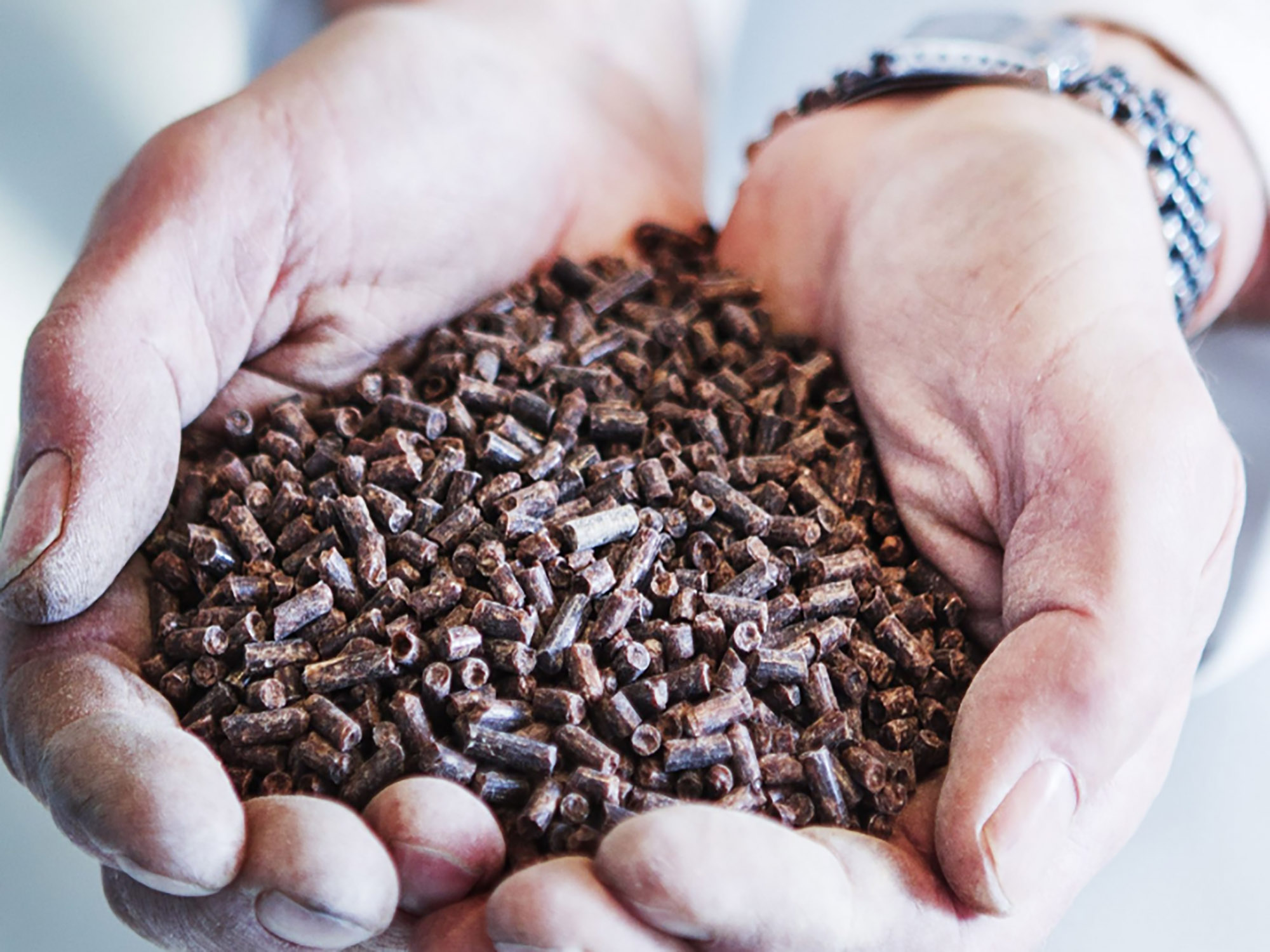 Calysta’s FeedKind protein receives MARA approval for use in ...