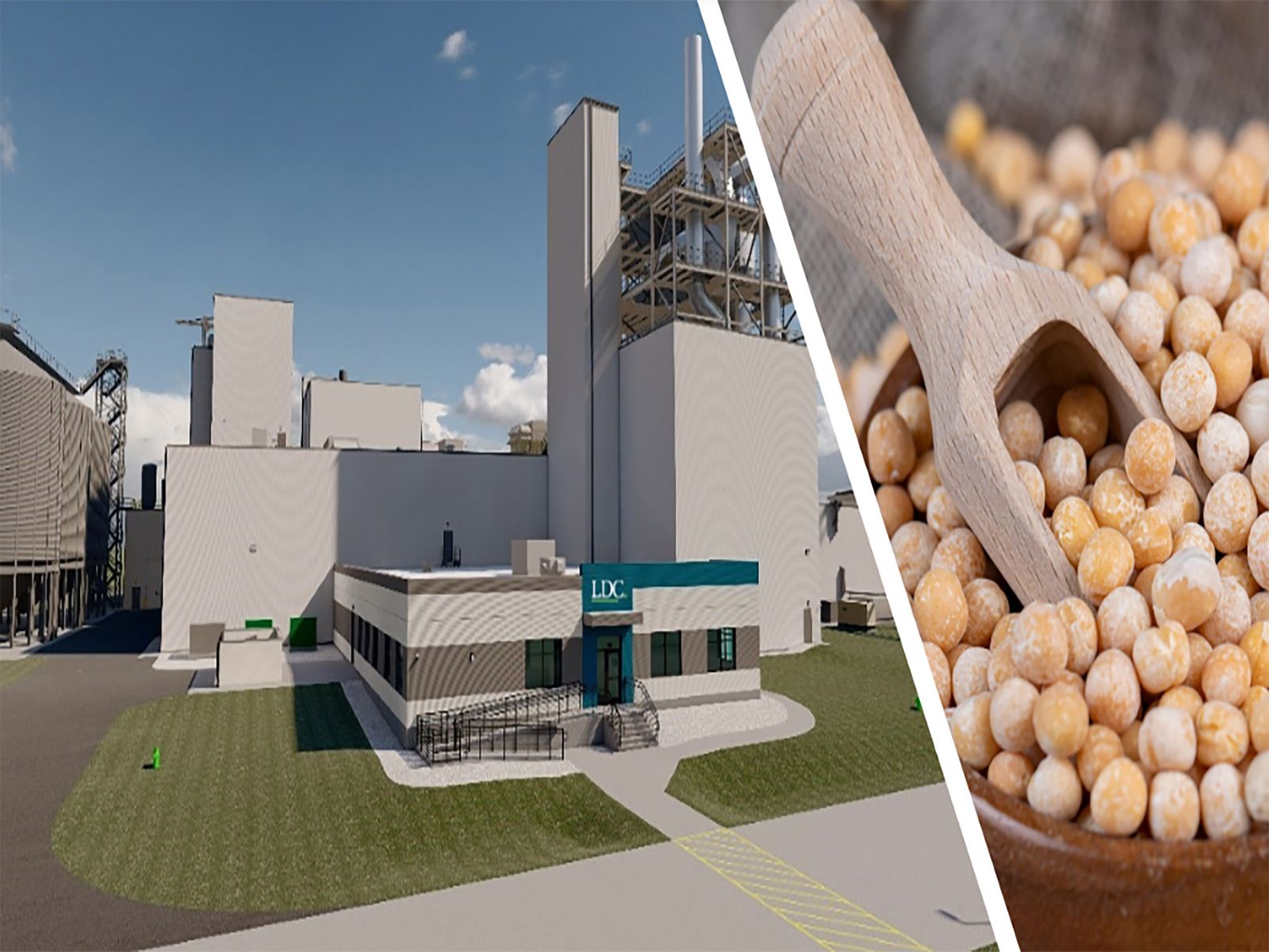 Louis Dreyfus Company announces the construction of a pea protein ...