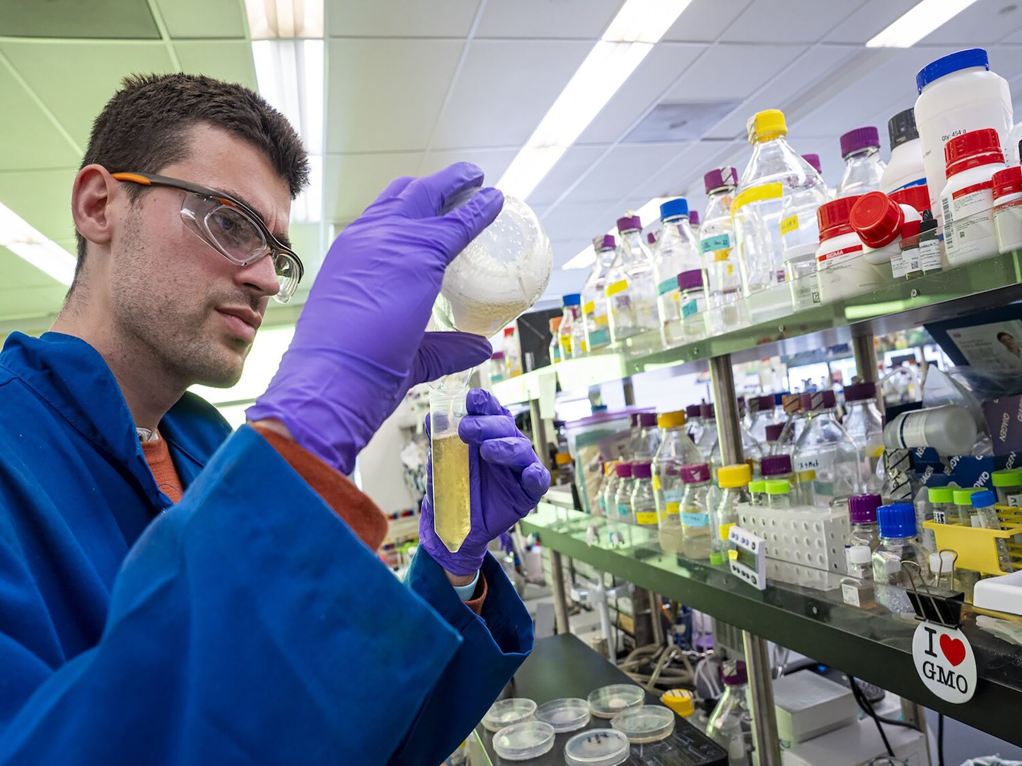 Berkeley Lab researchers hack the genome of fungi for smart foods of ...