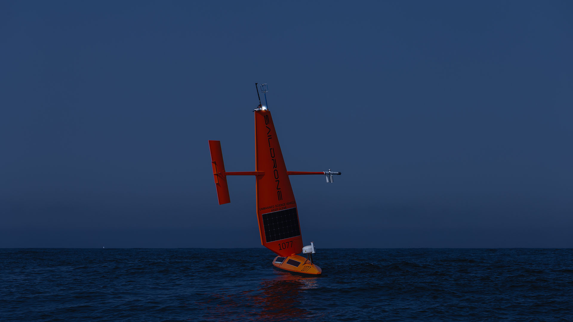 First-ever Mission to Detect Bats at Sea Using Autonomous Vehicles ...