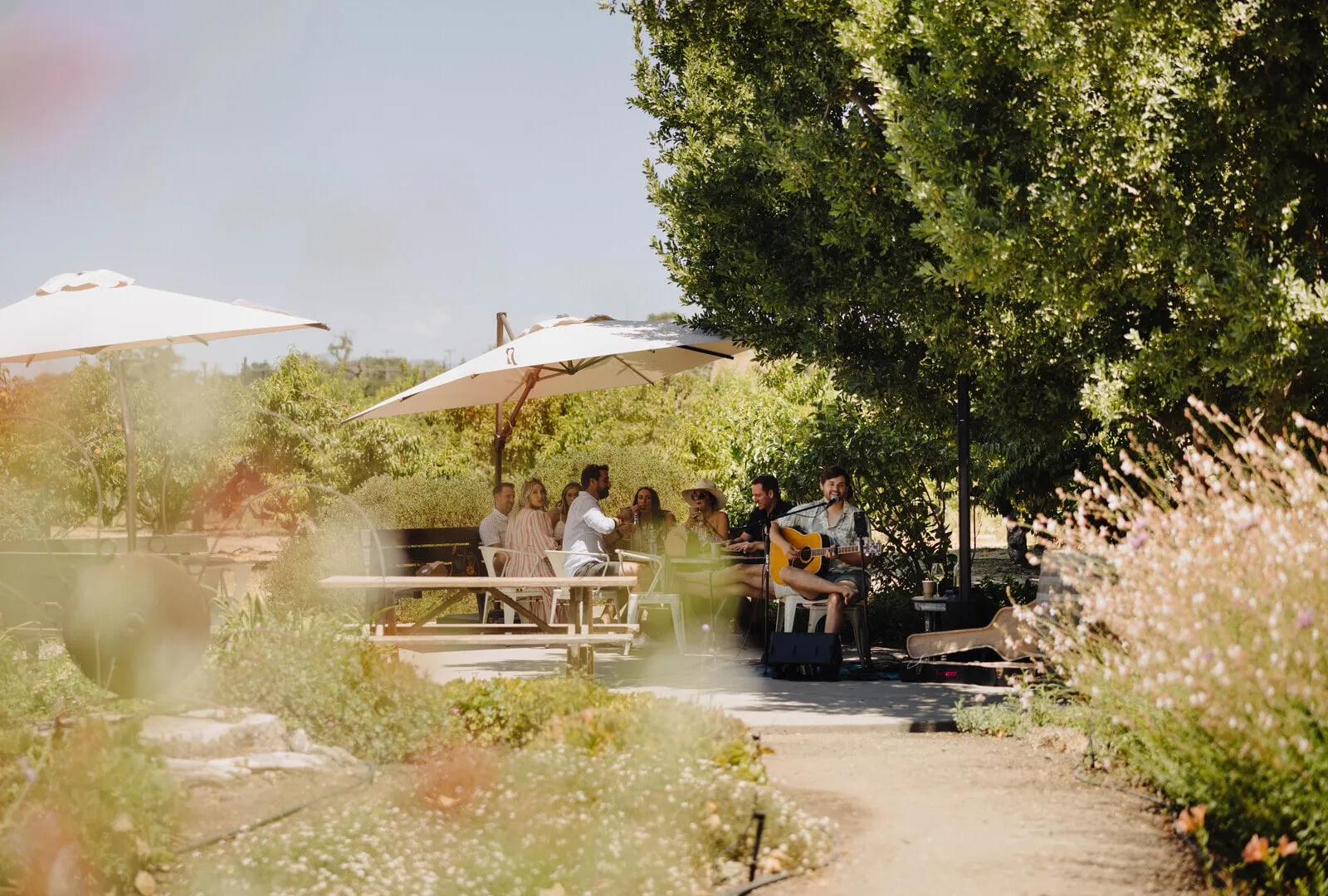 Buttonwood Farm & Vinyards | Santa Ynez Valley