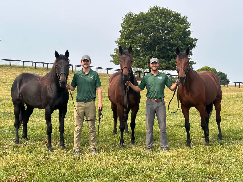 Broodmares - Cameo Hills Farm