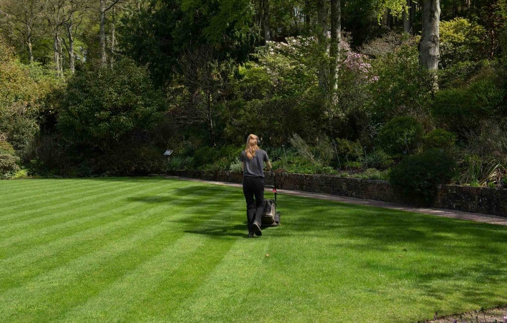How To Stripe Your Lawn