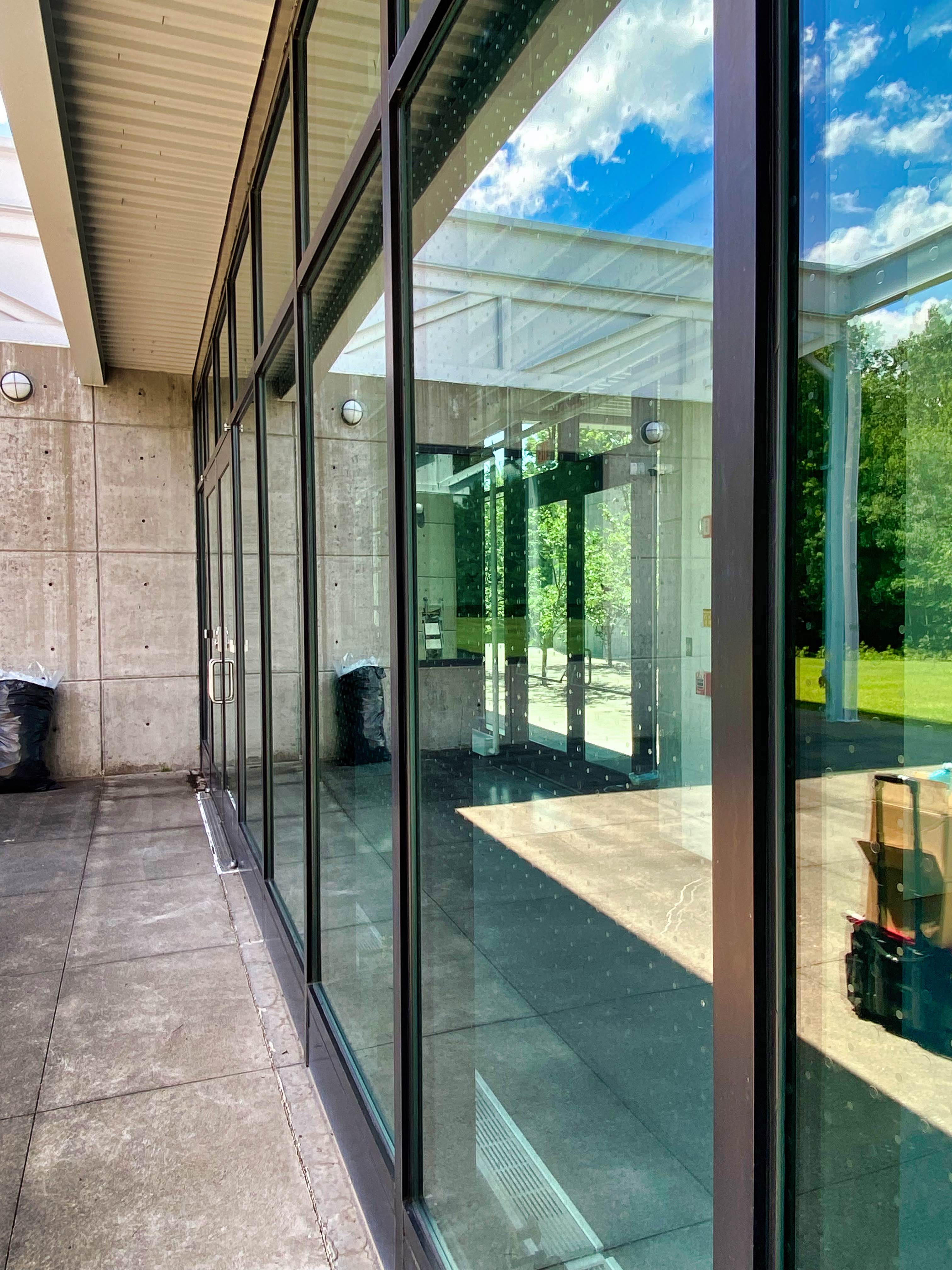 Home [www.birddivert.com]