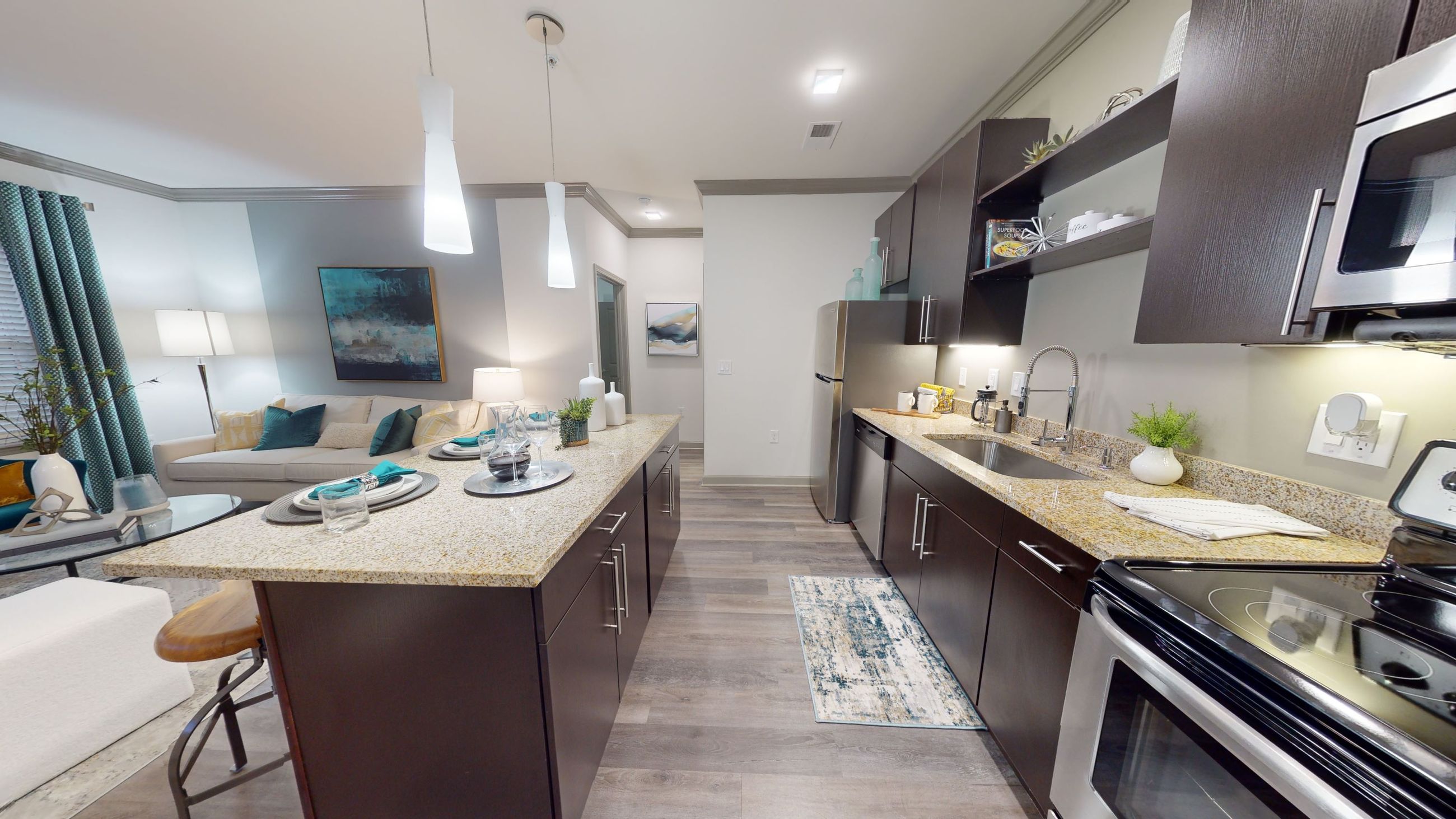 Luxury Apartment Charlotte - Charlotte Apartment for Rent | Ventana ...