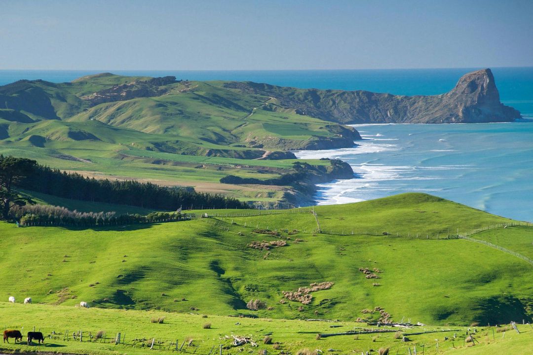 Harmony New Zealand - Our Farmers