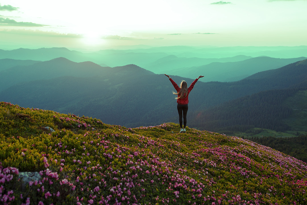 Meet our team, the faces of Salvia | Salvia BioElectronics