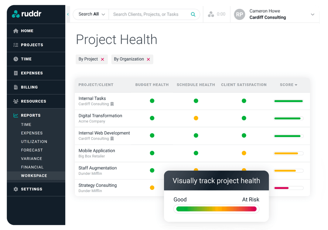 Ruddr - Platform Features - Project Health Tracking