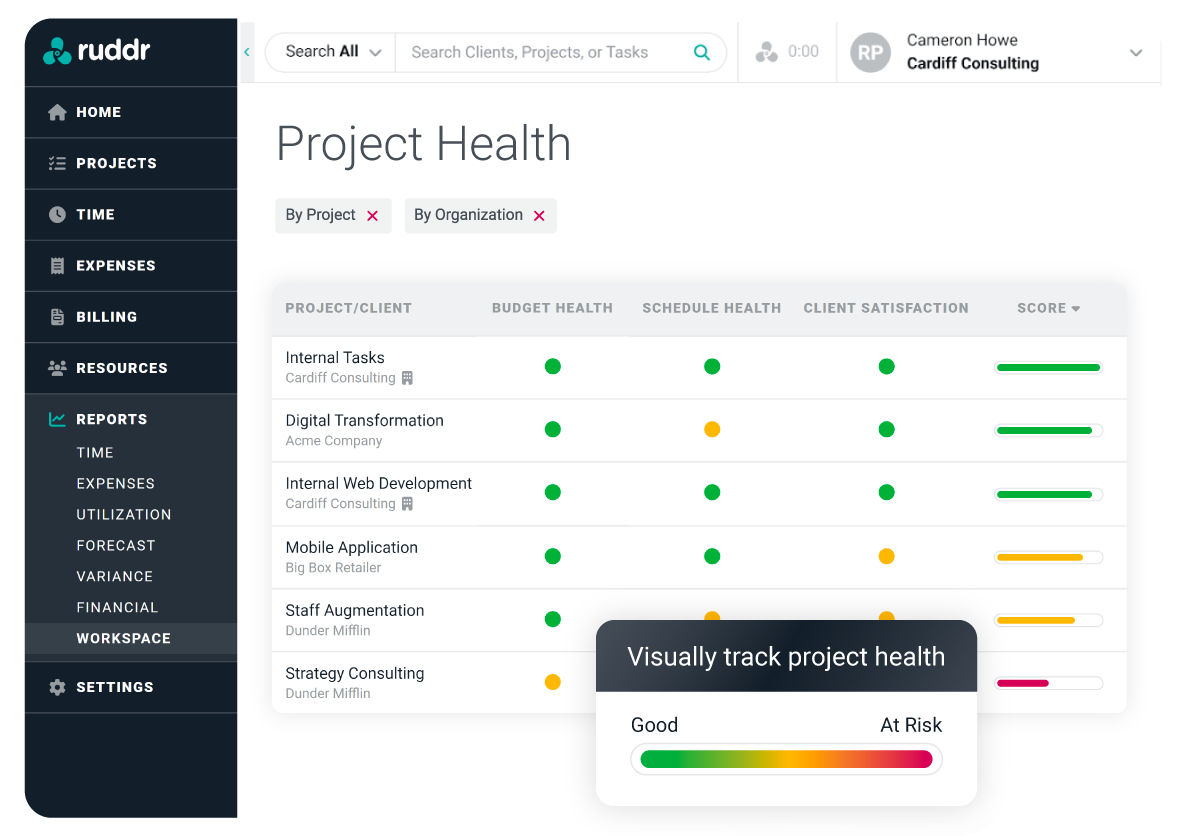 Ruddr - Platform Features - Project Health Tracking