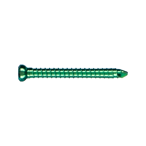 Proximal Femur/Femur Locking Screw