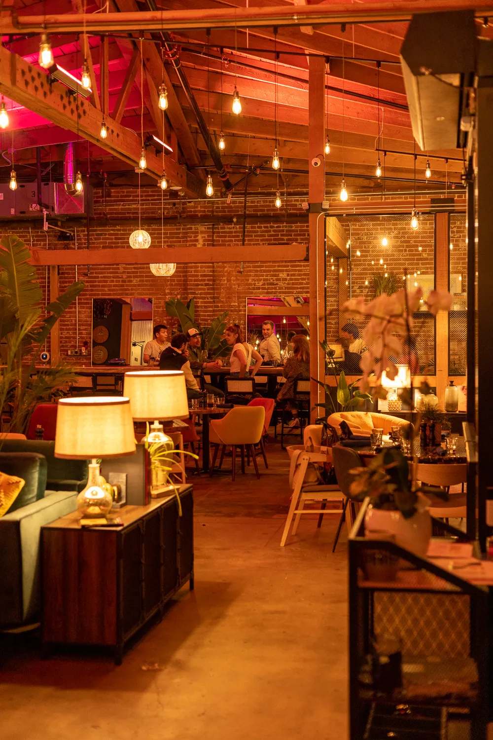 Cocotte Communication - Where experiences begin