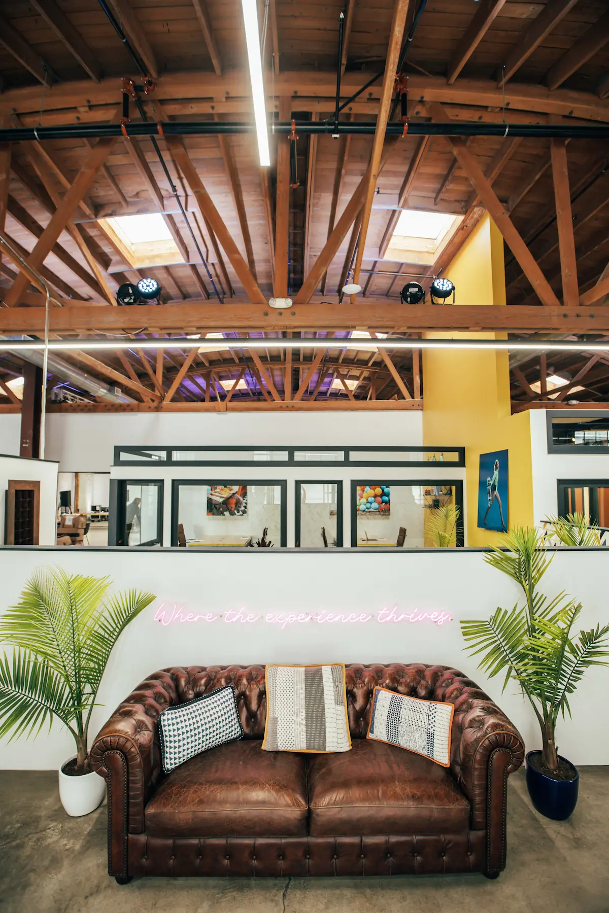 Cocotte Communication - Where experiences begin