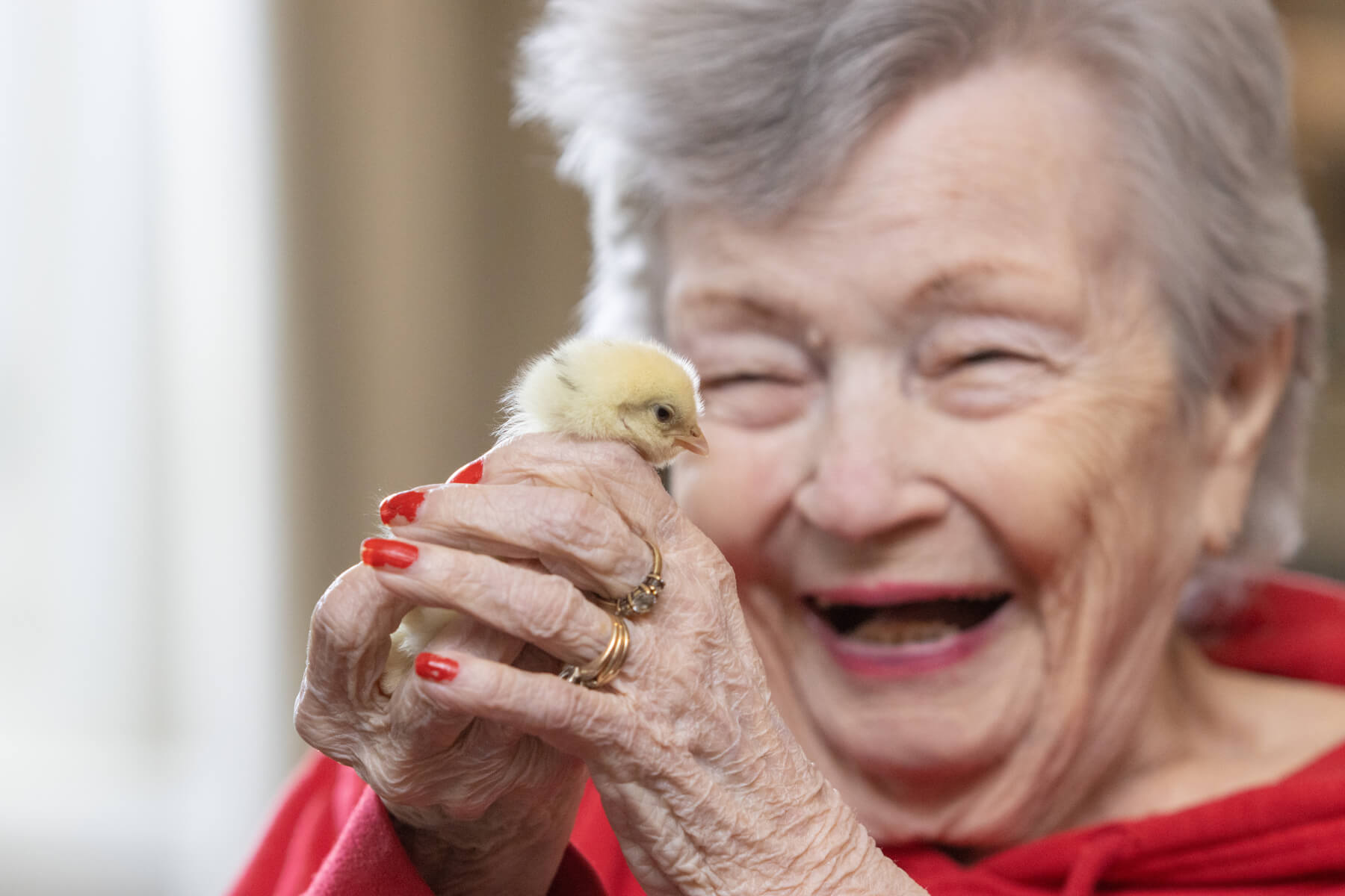 Home | The Ohio Eastern Star Home