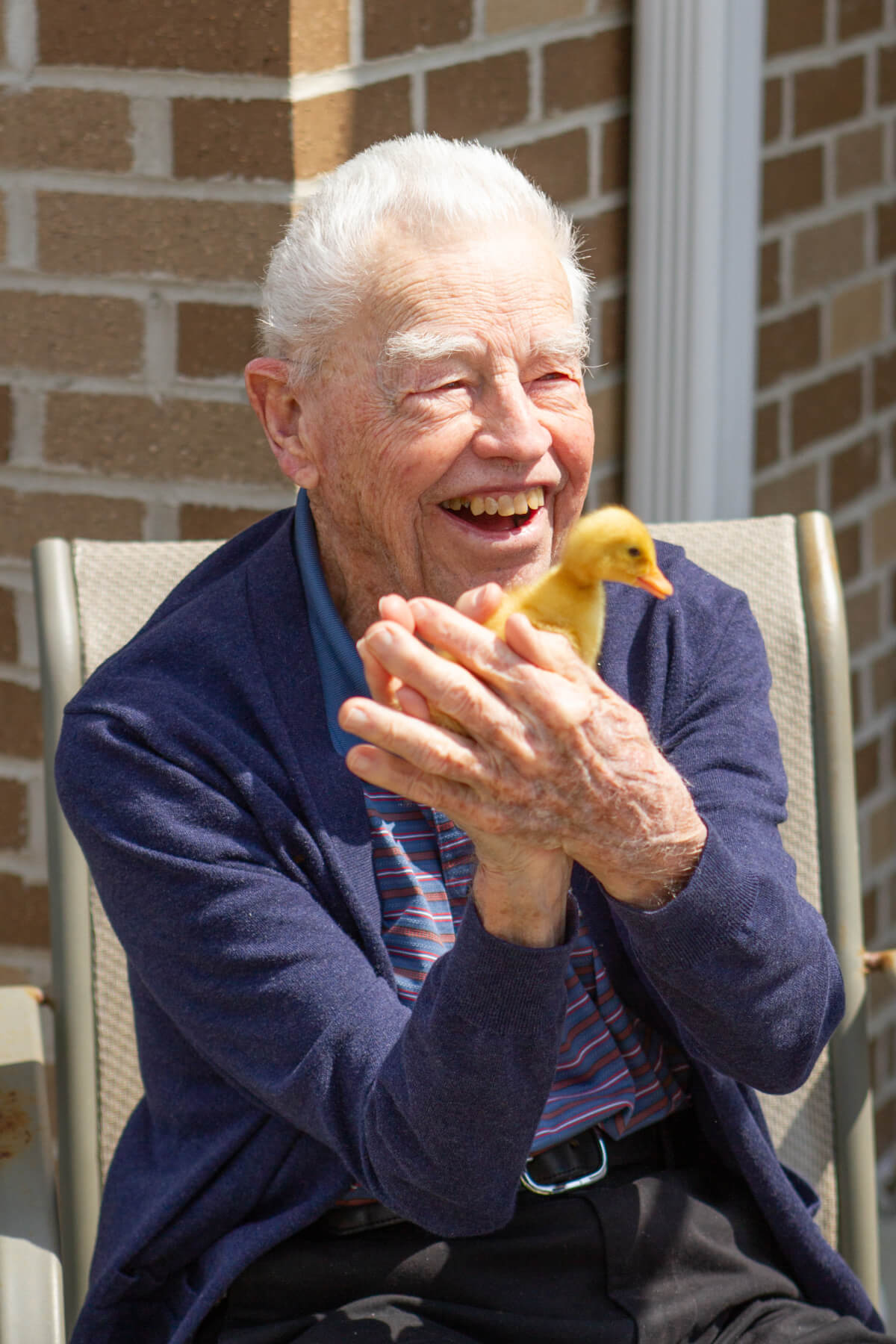 Home | The Ohio Eastern Star Home