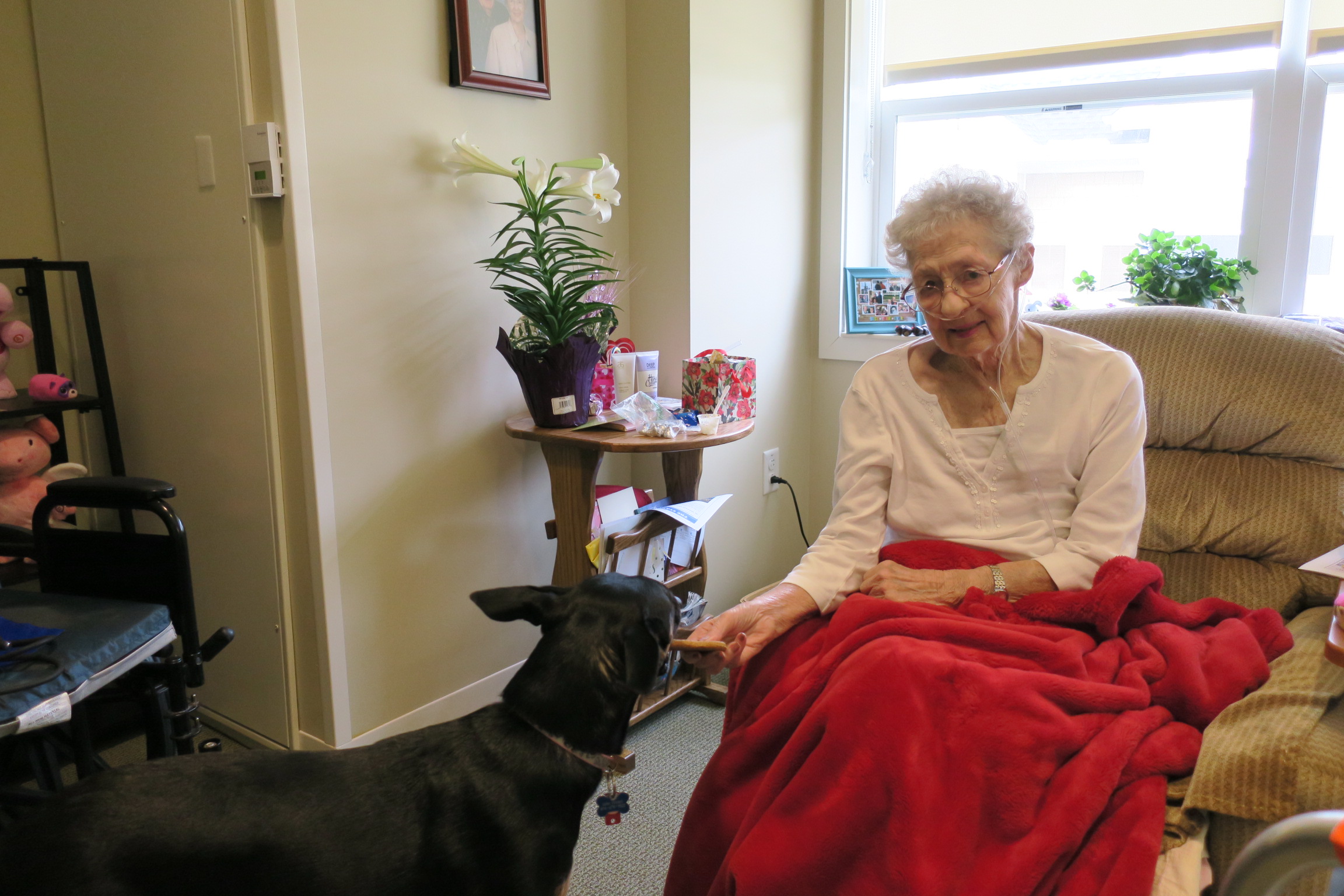 Home | The Ohio Eastern Star Home