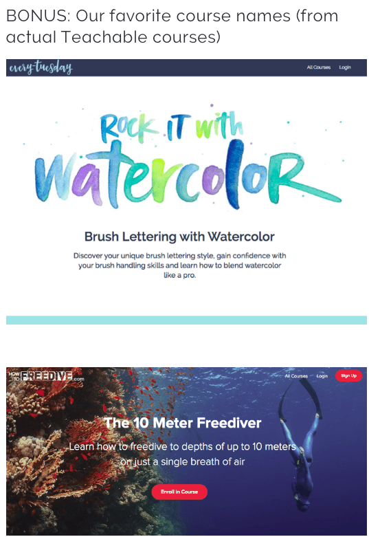 What Does a Course Creator's Journey Look Like? - Teachable Blog