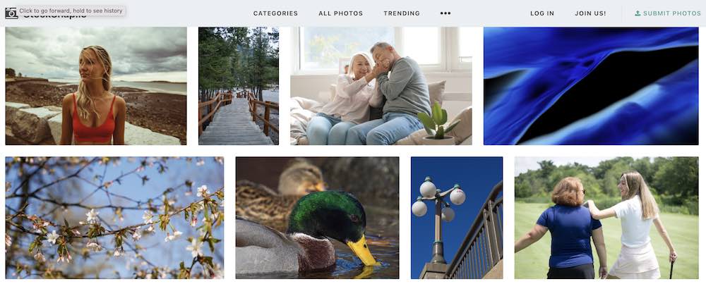 16 Best and Free Stock Photo Sites for Businesses - Teachable