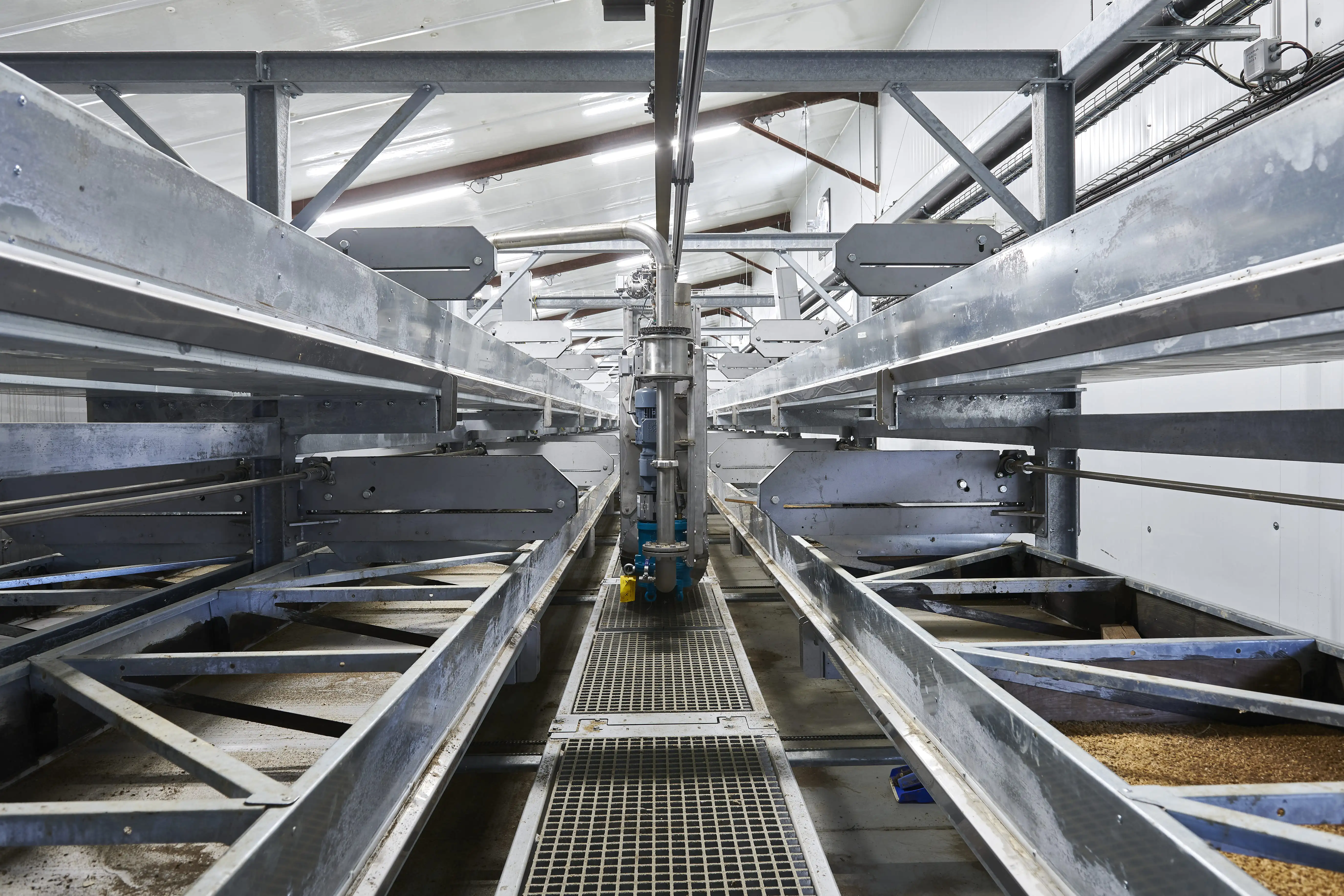 LCI - La Compagnie des Insectes