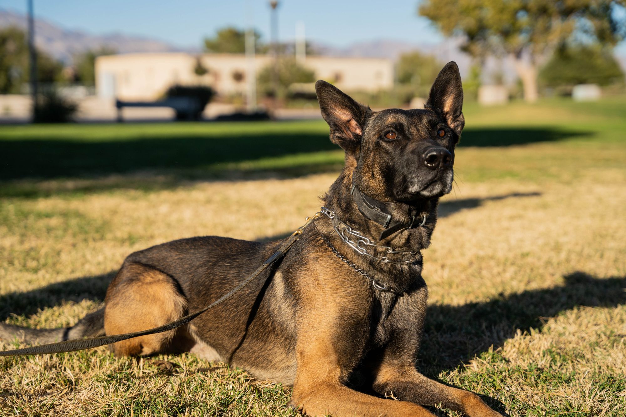 Join the City of North Las Vegas Police Department!
