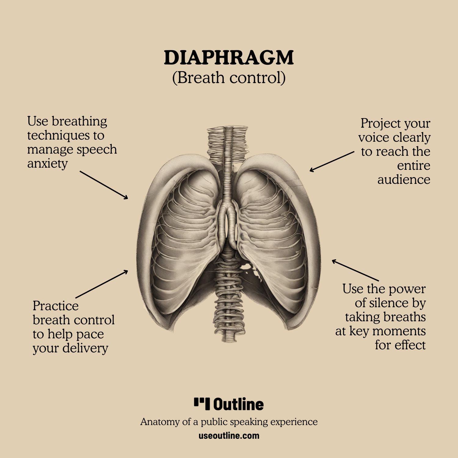 The Anatomy of a Public Speaking Experience - Outline