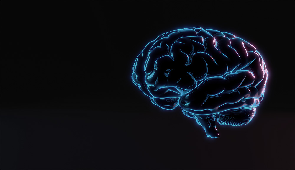 MIT Horizon — Insights