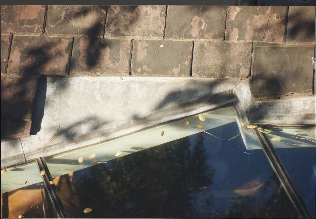 Birdwing | Ash Sakula Architects