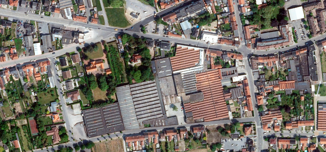 Kameleons en paarse sproeten