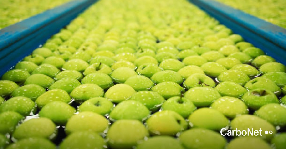 CarboNet chemistry: Plug-and-play wastewater treatment for food & beverage