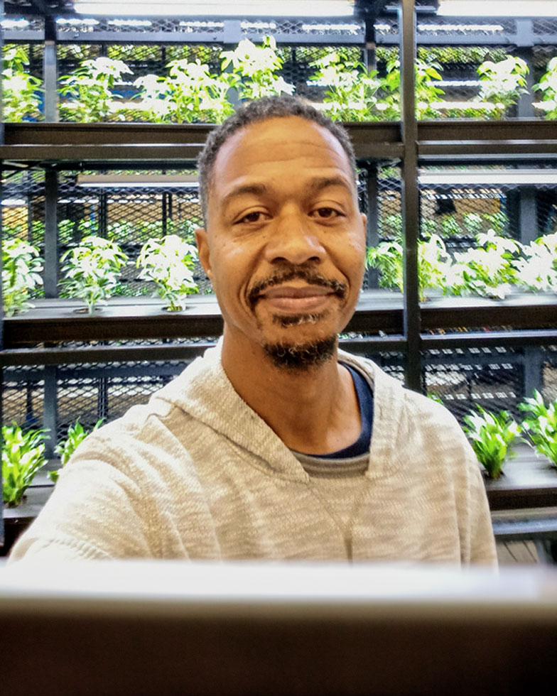 About Us - Skyponic Farming - We Look to the Sky