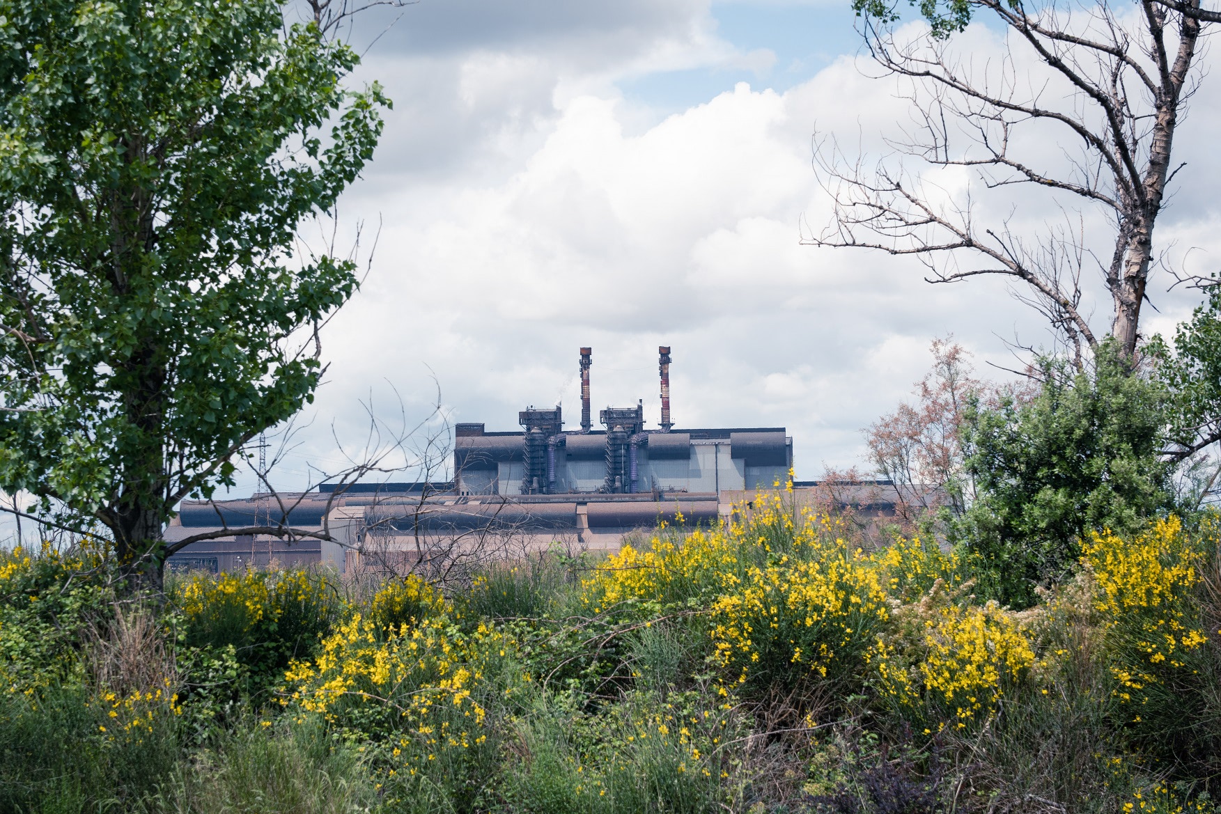 ArcelorMittal Méditerranée becomes the group’s first French entity to ...