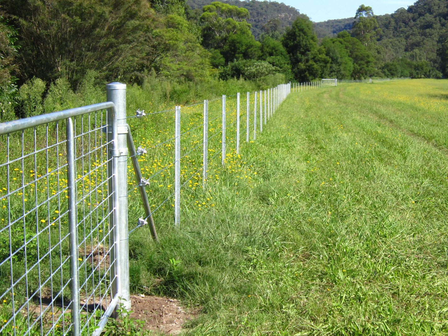 Rural Boundary & Perimeter Fencing - Archix
