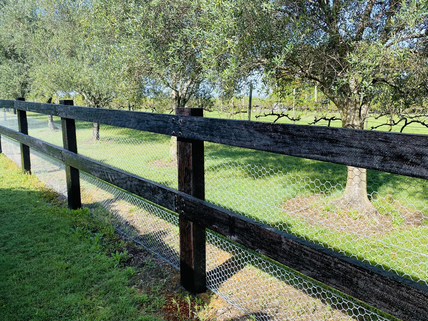 Face-Fixed Post & Rail Fencing - Archix