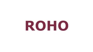 Roho: Successful Seed EdTech Pitch Deck
