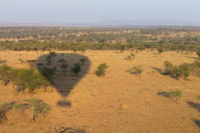 Safari Information | Rungwa Game Safaris