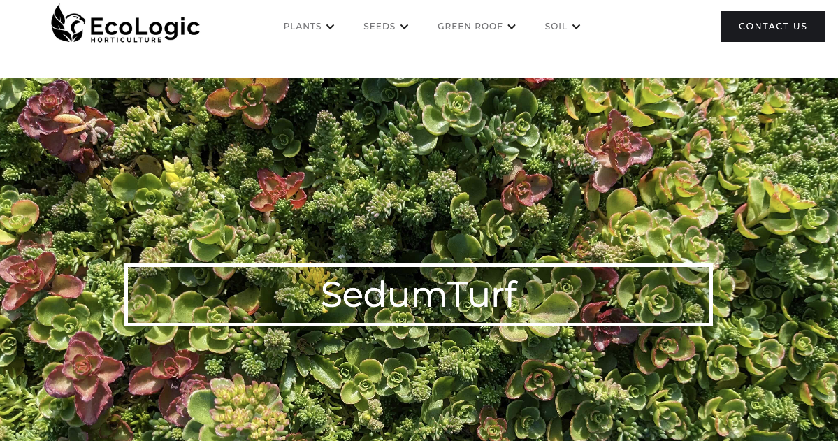 SedumTurf