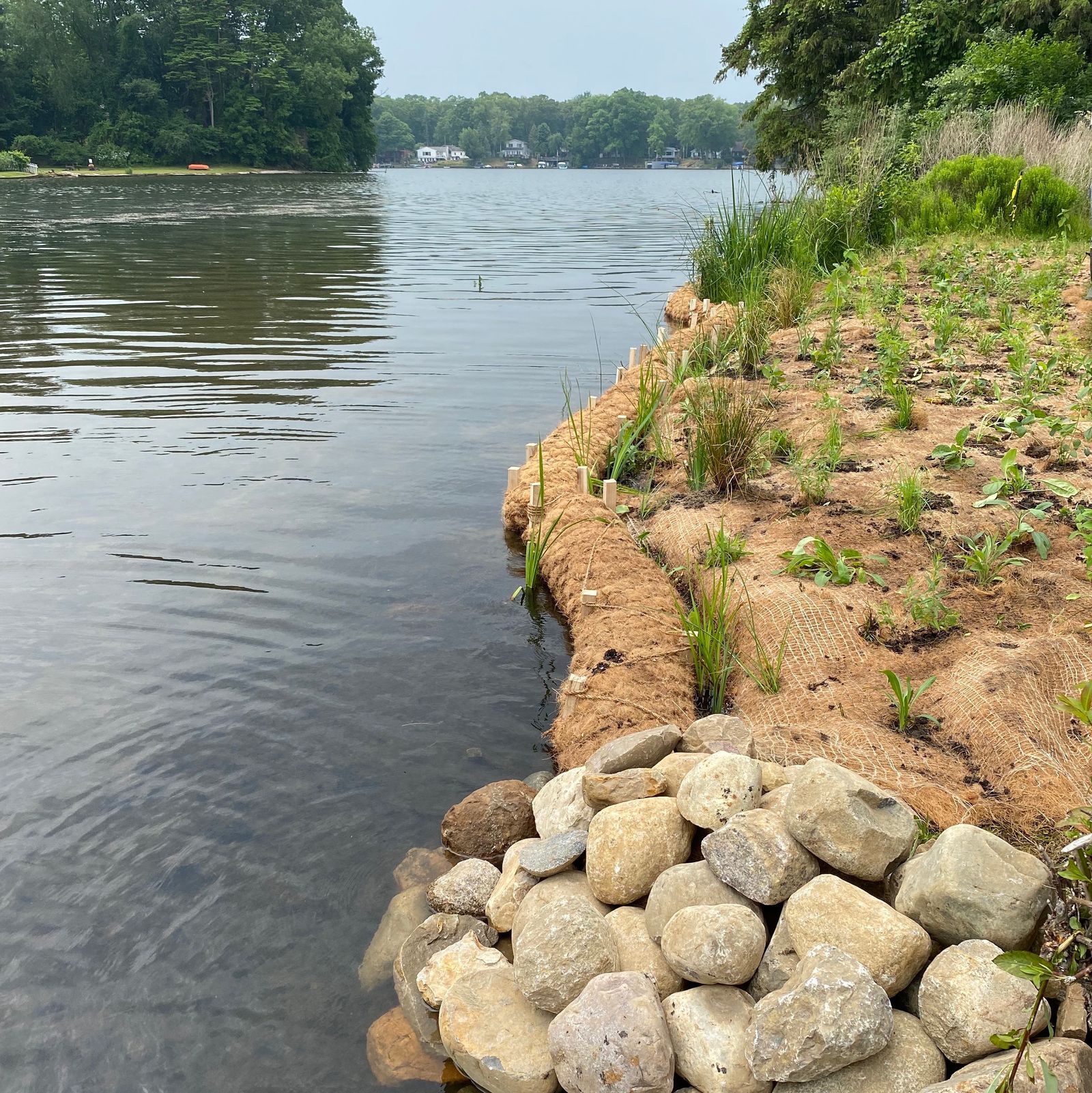 Natural Shoreline Restoration