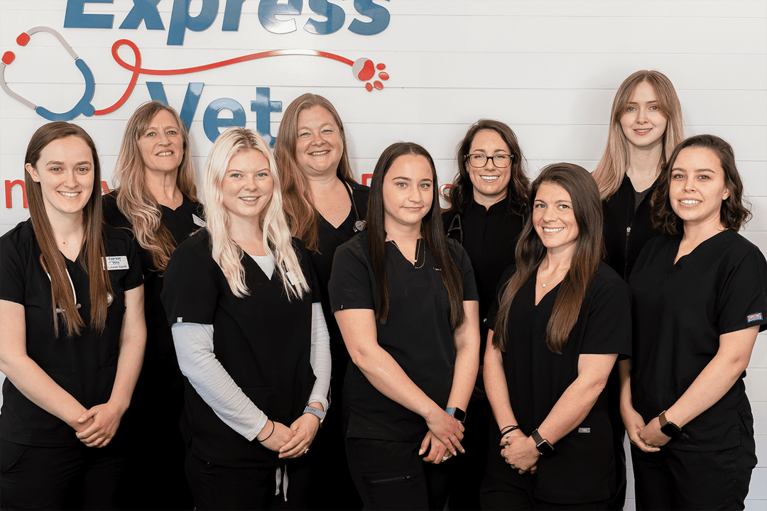 Meet Our Doctor | Dr. Stefanie Henson