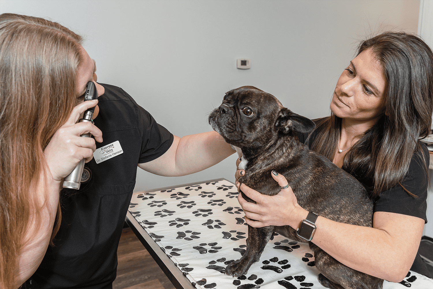 Expert Sick Pet Visits in Kennesaw, GA | Express Vets